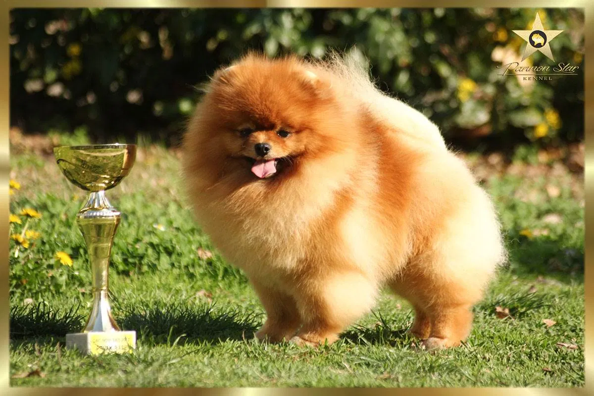 Ли | Samo za Akija Wiki | Fandom