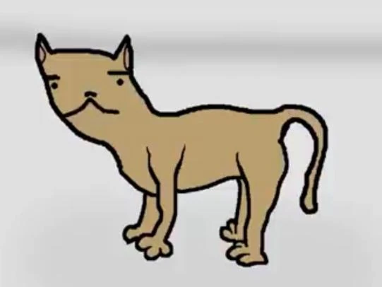 Cat | Sam O'Nella Wiki | Fandom