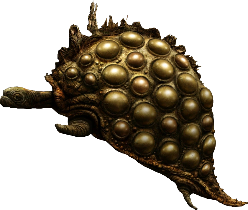 Tortoise | Samorost Wiki | Fandom
