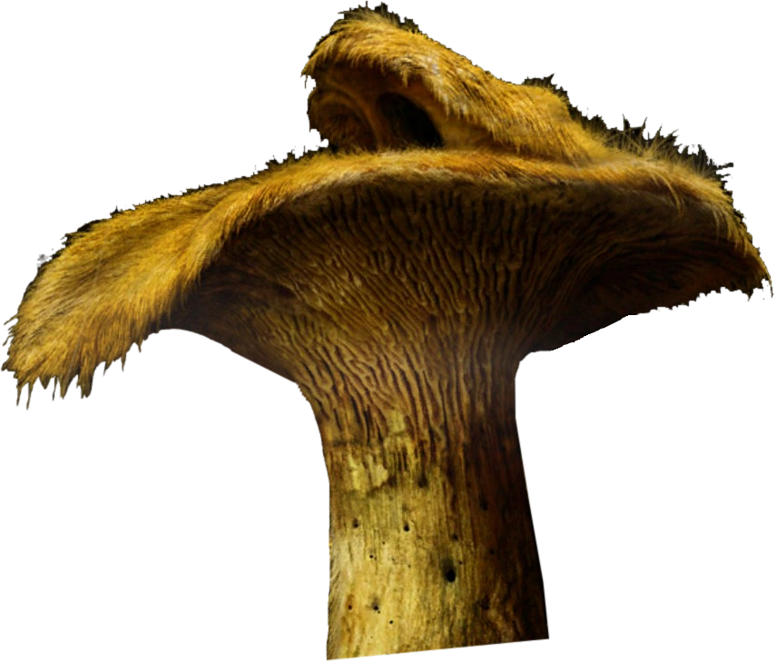 Mushrooms | Samorost Wiki | Fandom