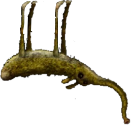 Yellow ant-eater | Samorost Wiki | Fandom