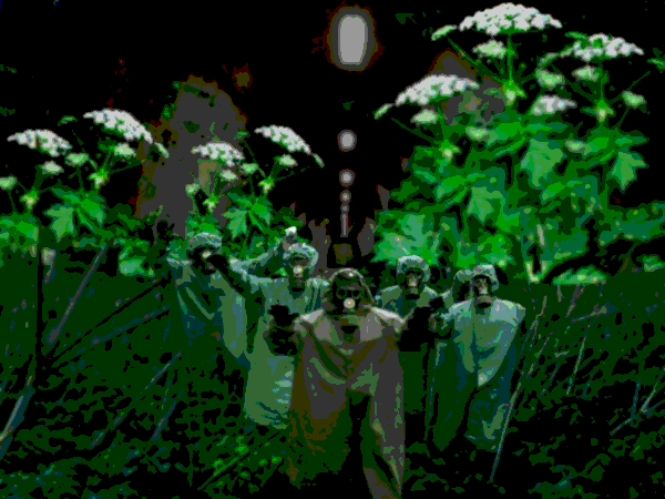 Hogweed | Samosbor Archive Wiki | Fandom