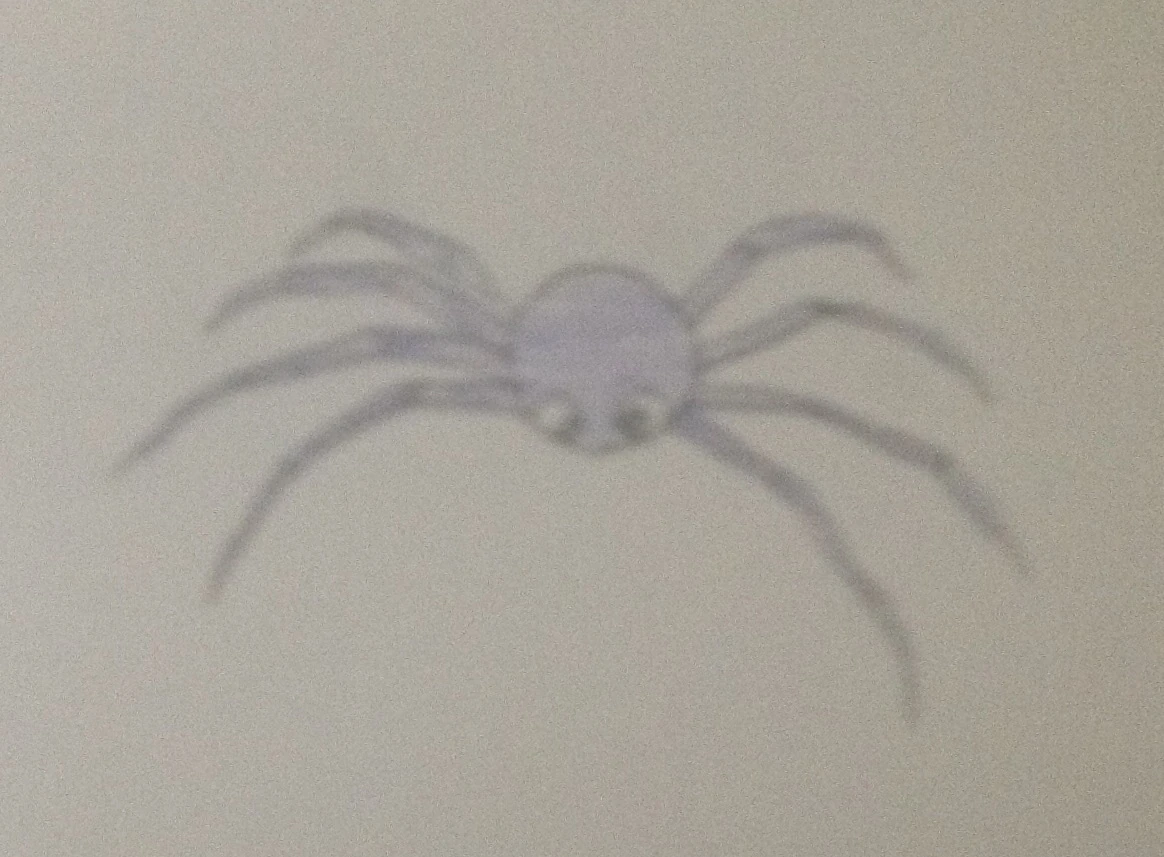 Spider | Sam's Zoo Wiki | Fandom