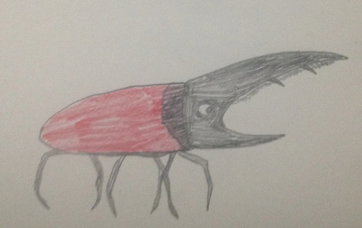 Hercules beetle | Sam's Zoo Wiki | Fandom