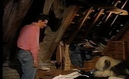 Attic | Samson and Gert Wiki | Fandom