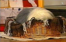 Season 4 | Samson and Gert Wiki | Fandom