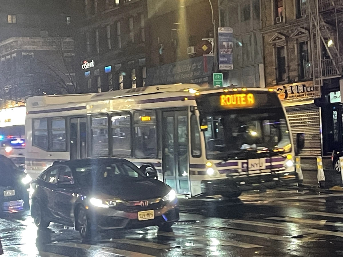 New York University | SamTrans Wiki | Fandom