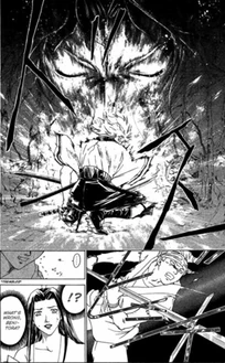 Akira | Samurai Deeper Kyo Wiki | Fandom