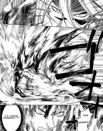 Hotaru | Samurai Deeper Kyo Wiki | Fandom