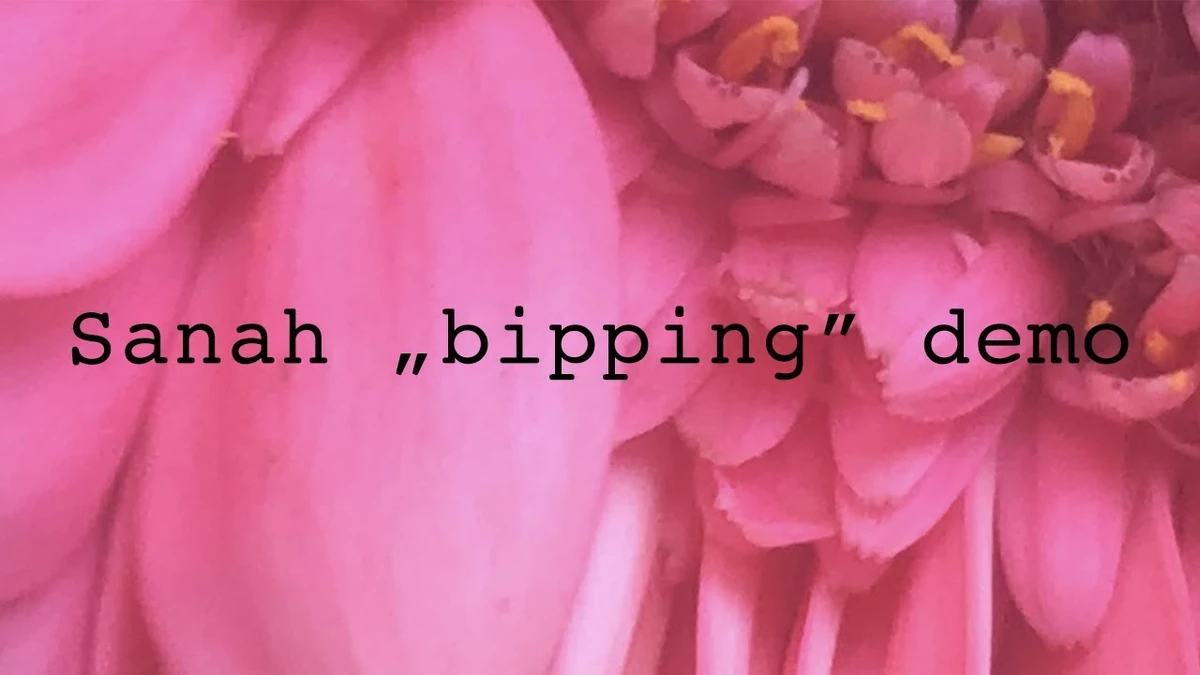 Bipping | Sanah Wiki | Fandom