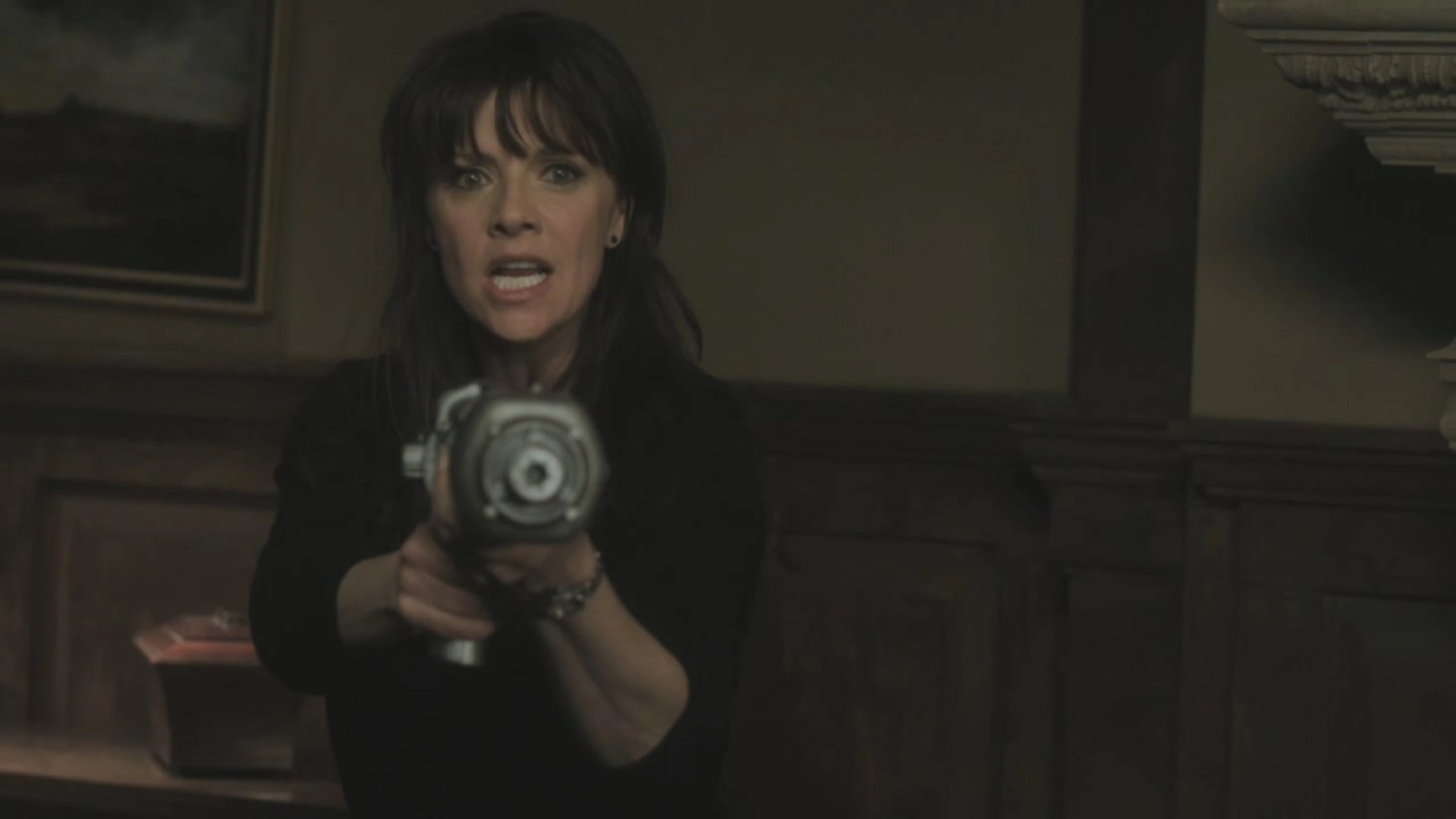 Sonic stun weapon | The Sanctuary Network | Fandom