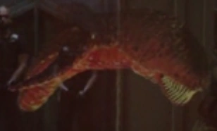 Kanaan | The Sanctuary Network | Fandom