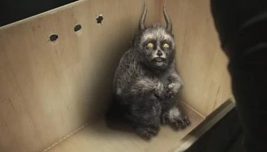 Skippy | The Sanctuary Network | Fandom