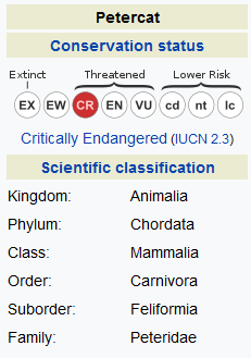 Petercat | Sandbox for any uses Wiki | Fandom