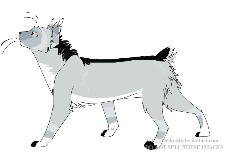 Rabbitstorm | Sandclan roleplaying Wiki | Fandom