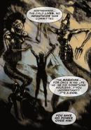 The Three | Sandman Wiki | Fandom