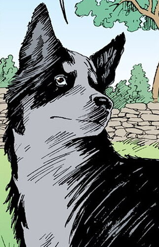 Barnabas | Sandman Wiki | Fandom