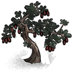 Chestnut | Sands of Salzaar Wiki | Fandom