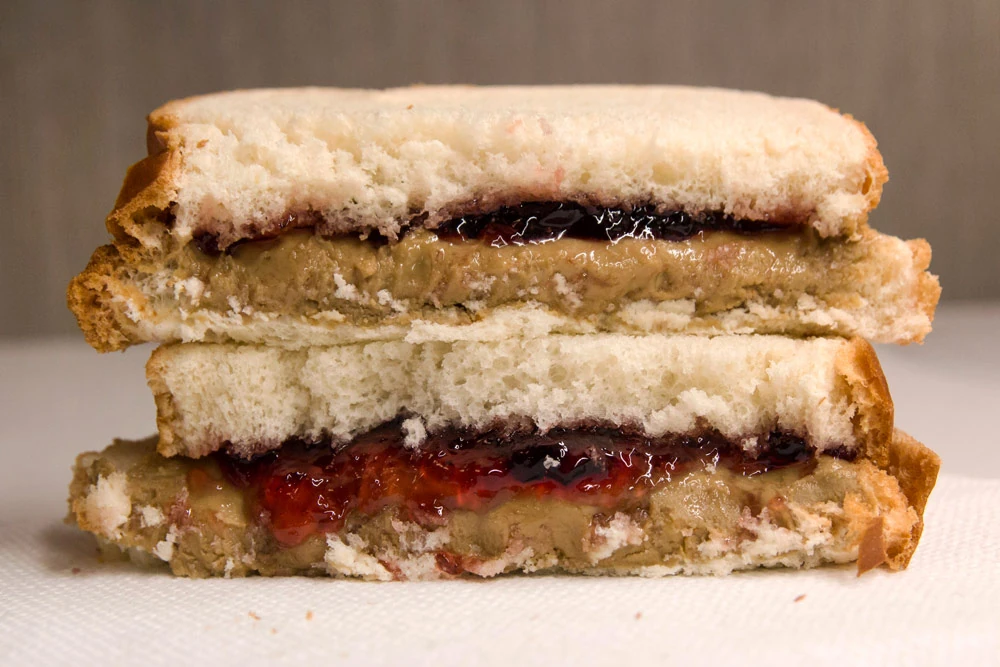 Sun Butter and Jelly Sandwich | Sandwich Wiki | Fandom
