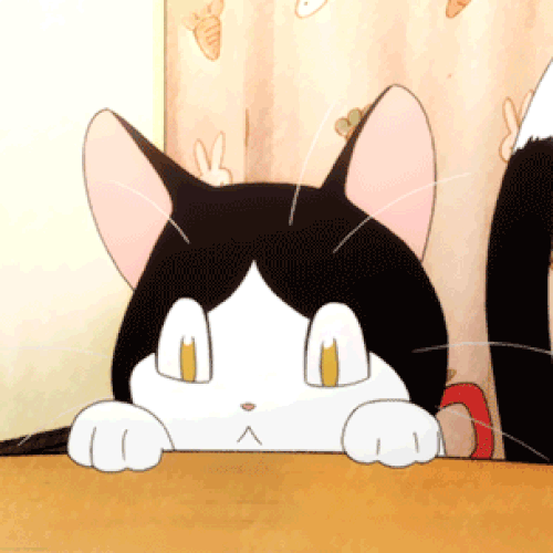 Cat Anime