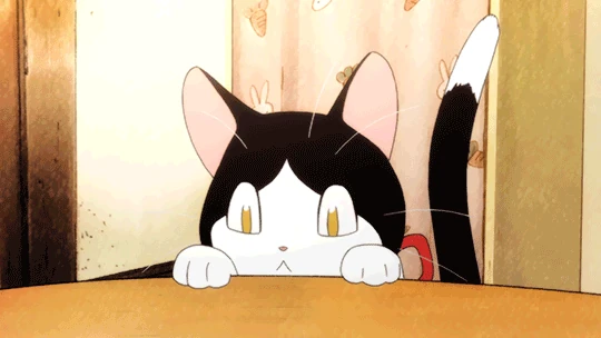 Kuro-chan | March Comes in Like a Lion Wiki | Fandom