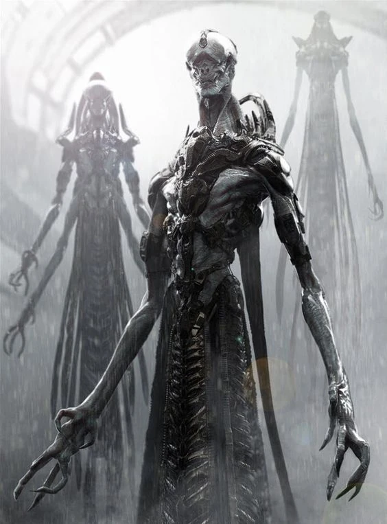 Senari | The Sanguine Perspective Wiki | Fandom
