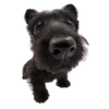 The unkown nextbot | Sanic’s nextbots Wiki | Fandom