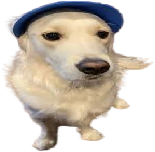 Cappy dog | Sanic’s nextbots Wiki | Fandom