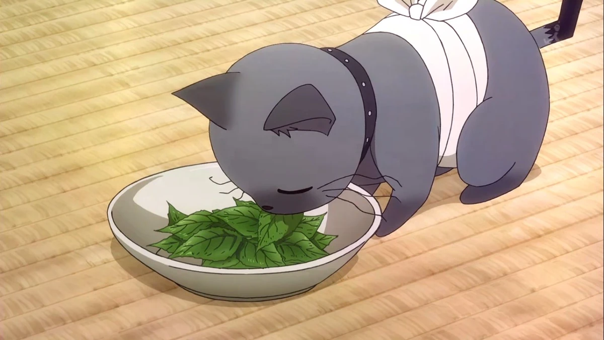 Babu | Sankarea Wiki | Fandom