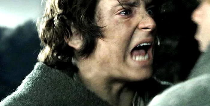 Frodo Baggins | Sanpedia Wiki | Fandom