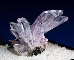 Polara | Sansi Wiki | Fandom