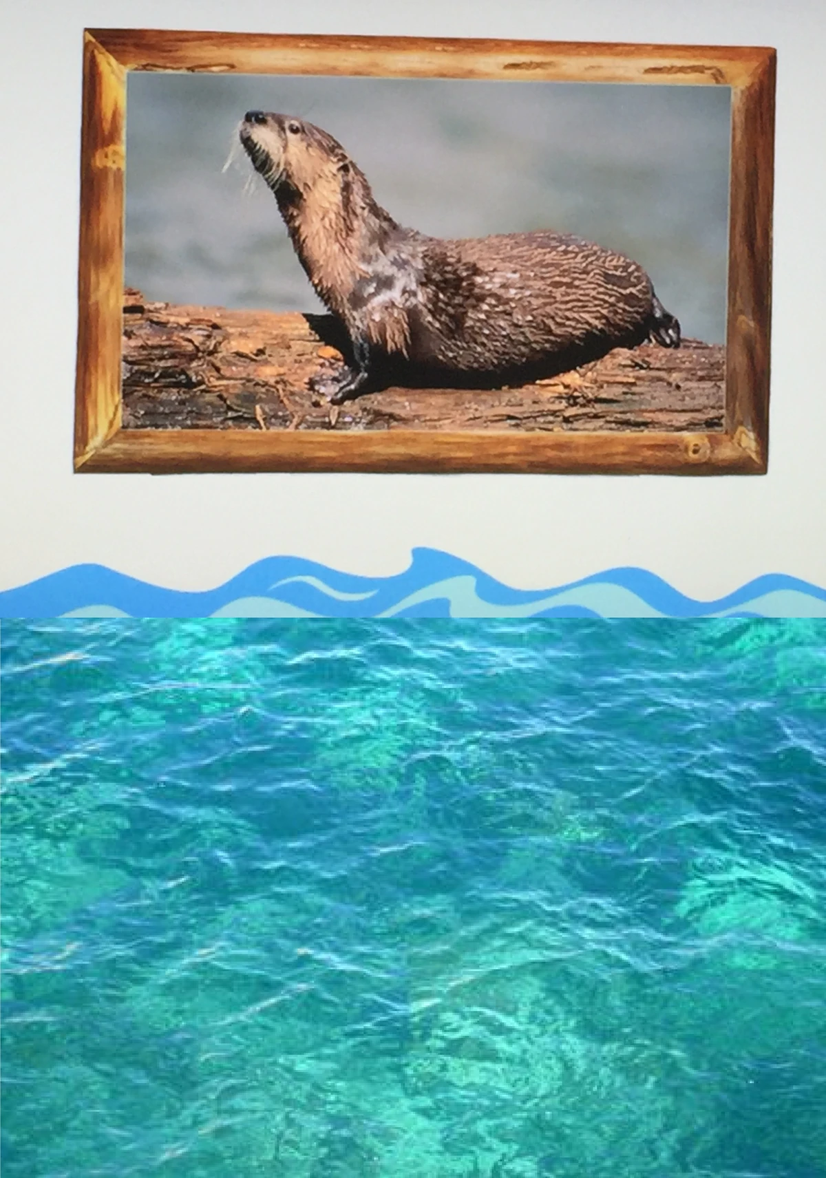 River Otter Room | Santiago Wikia | Fandom