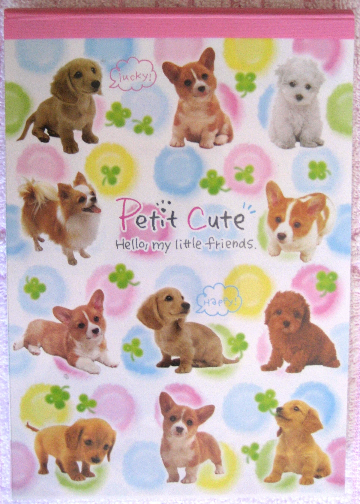 Petit Cute | San-X Wiki | Fandom