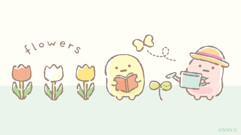 Futaba | San-X Wiki | Fandom