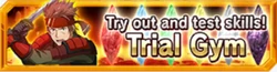 Trial Gym - Sword Art Online: Integral Factor Wiki