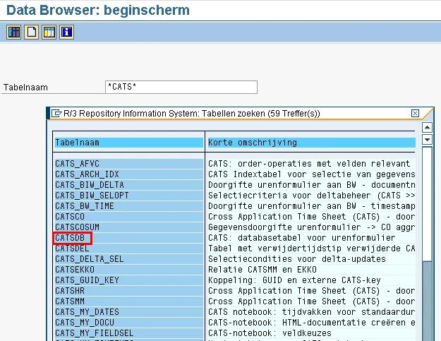 CATS tabellen | Nederlandse SAP wiki | Fandom