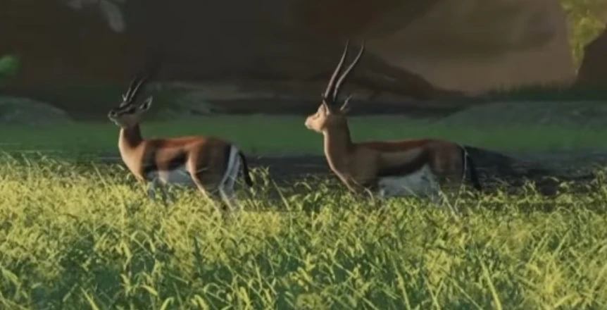Gazelles | Sapien Roblox Wiki | Fandom