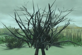 Thornbush | Sapien Roblox Wiki | Fandom