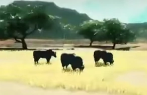 Cape Buffalo | Sapien Roblox Wiki | Fandom