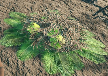 Coconut Storage | Sapien Roblox Wiki | Fandom