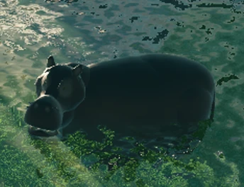 Hippopotamus Gorgops | Sapien Roblox Wiki | Fandom