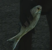 Fish | Sapien Roblox Wiki | Fandom