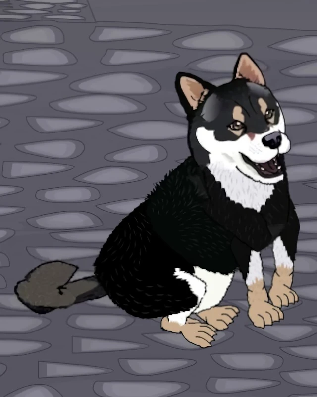 Raven (dog) | SapphireFoxx Wiki | Fandom