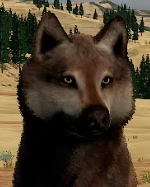 Feather | Sapphirejas's WolfQuest Legacy Wiki | Fandom