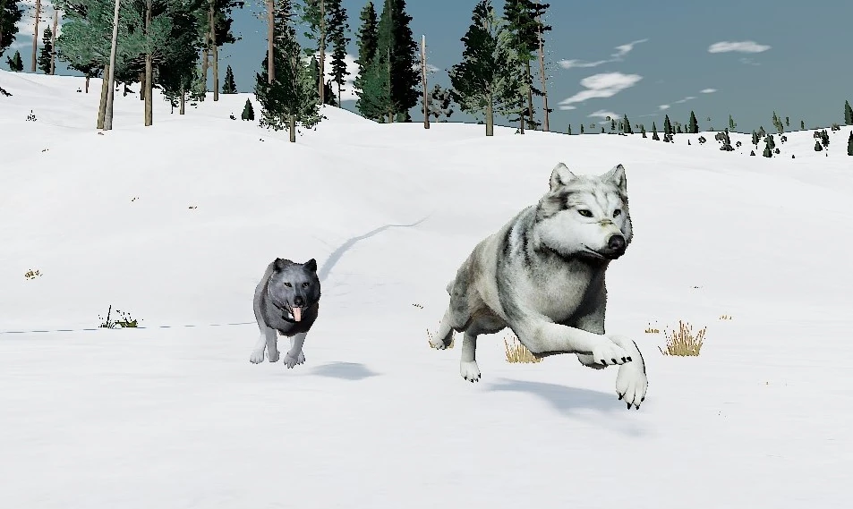 Sapphirejas's WolfQuest Legacy Wiki | Fandom