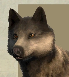 Crow | Sapphirejas's WolfQuest Legacy Wiki | Fandom