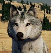 Luna | Sapphirejas's WolfQuest Legacy Wiki | Fandom