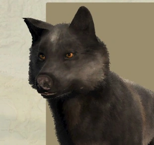 Eclipse | Sapphirejas's WolfQuest Legacy Wiki | Fandom