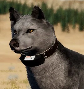 Lily III | Sapphirejas's WolfQuest Legacy Wiki | Fandom