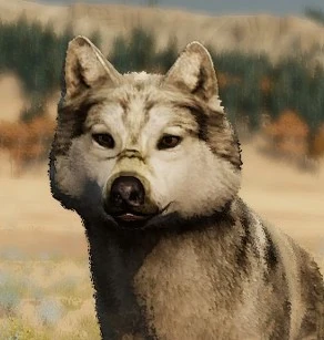 Moondancer II | Sapphirejas's WolfQuest Legacy Wiki | Fandom